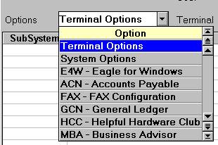 Setting Up Terminal-Specific A/R Options