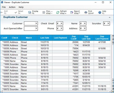 Using the Duplicate Customer Viewer